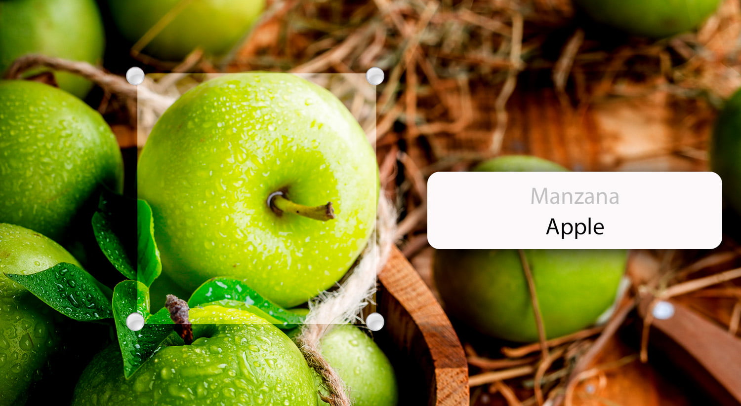 How to translate text with your mobile phone camera